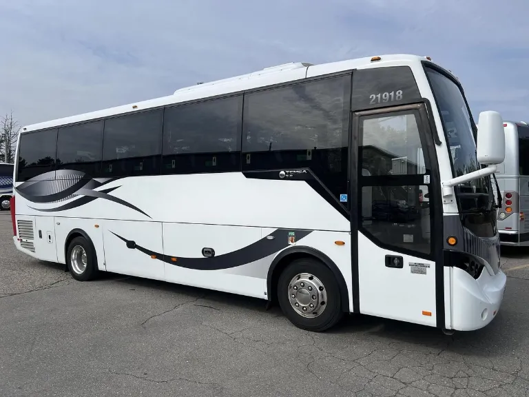 2019 Temsa TS30